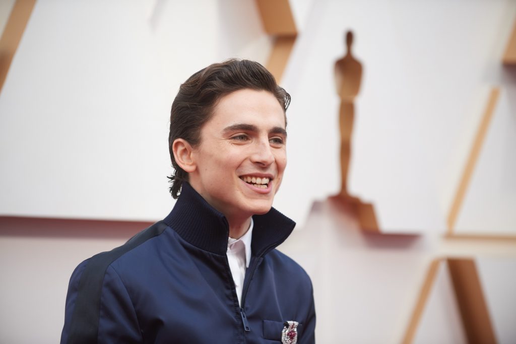 Timothée Chalamet, Willy Wonka, and Roald Dahl - Solzy at the Movies